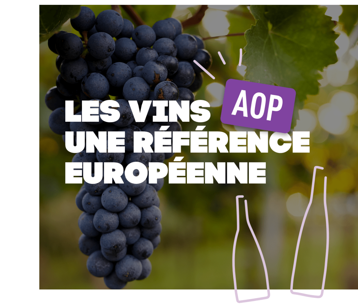 Un bon vin pas cher, c'est possible