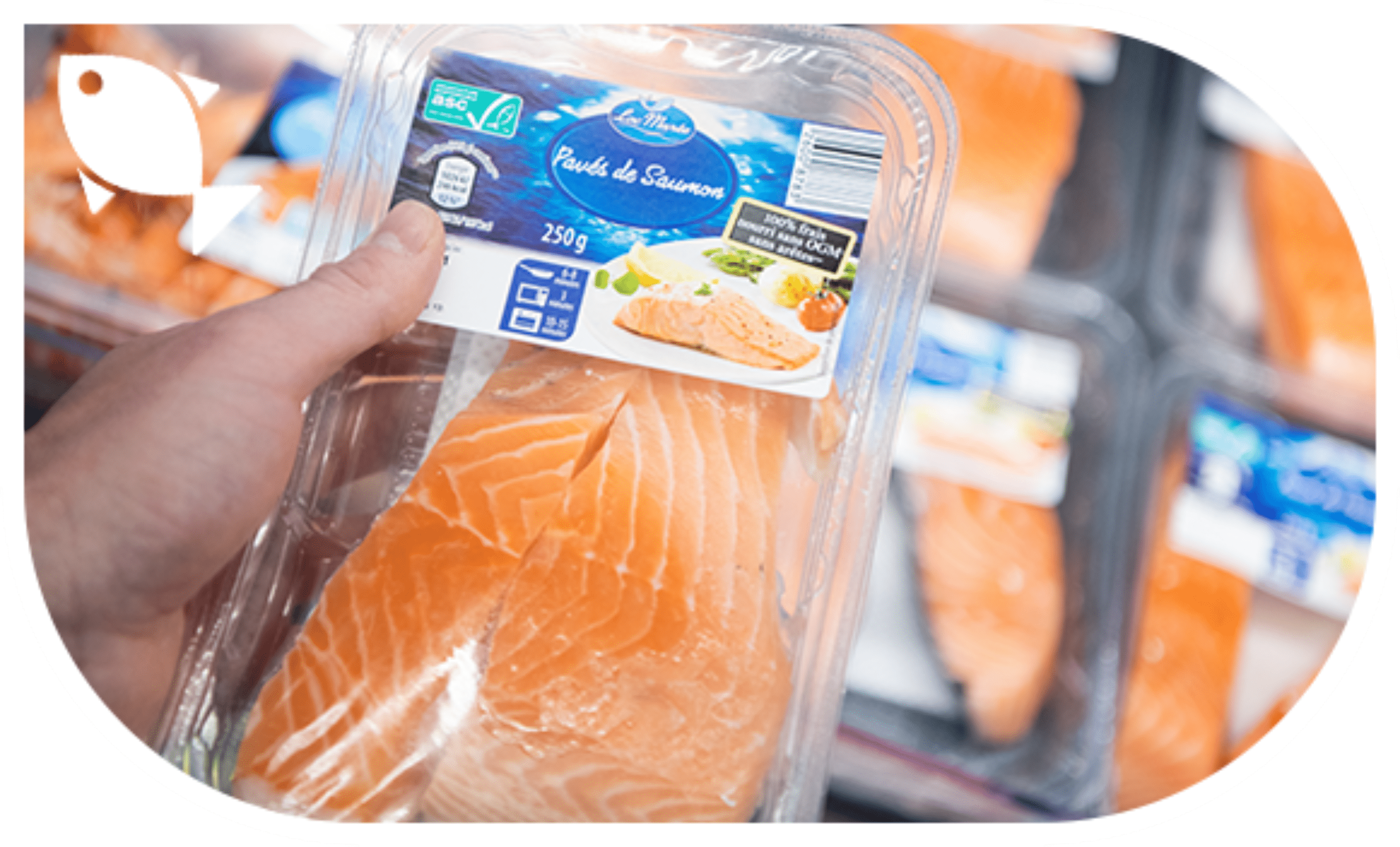 La peche durable et responsable, ALDI s'engage