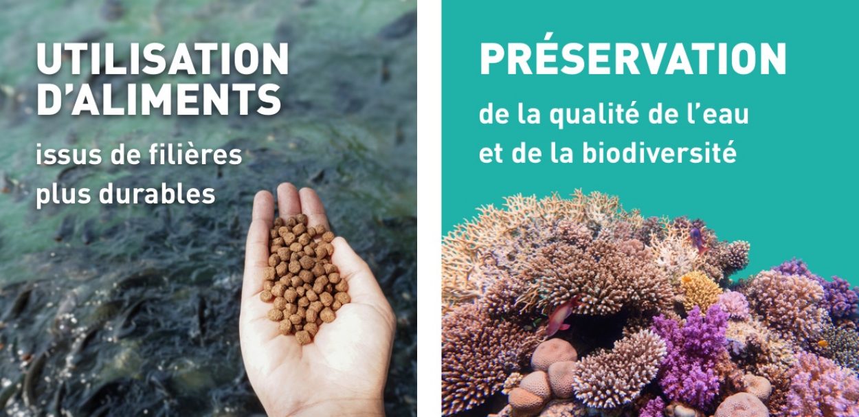 La peche durable et responsable, ALDI s'engage