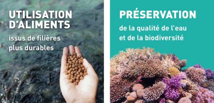La peche durable et responsable, ALDI s'engage