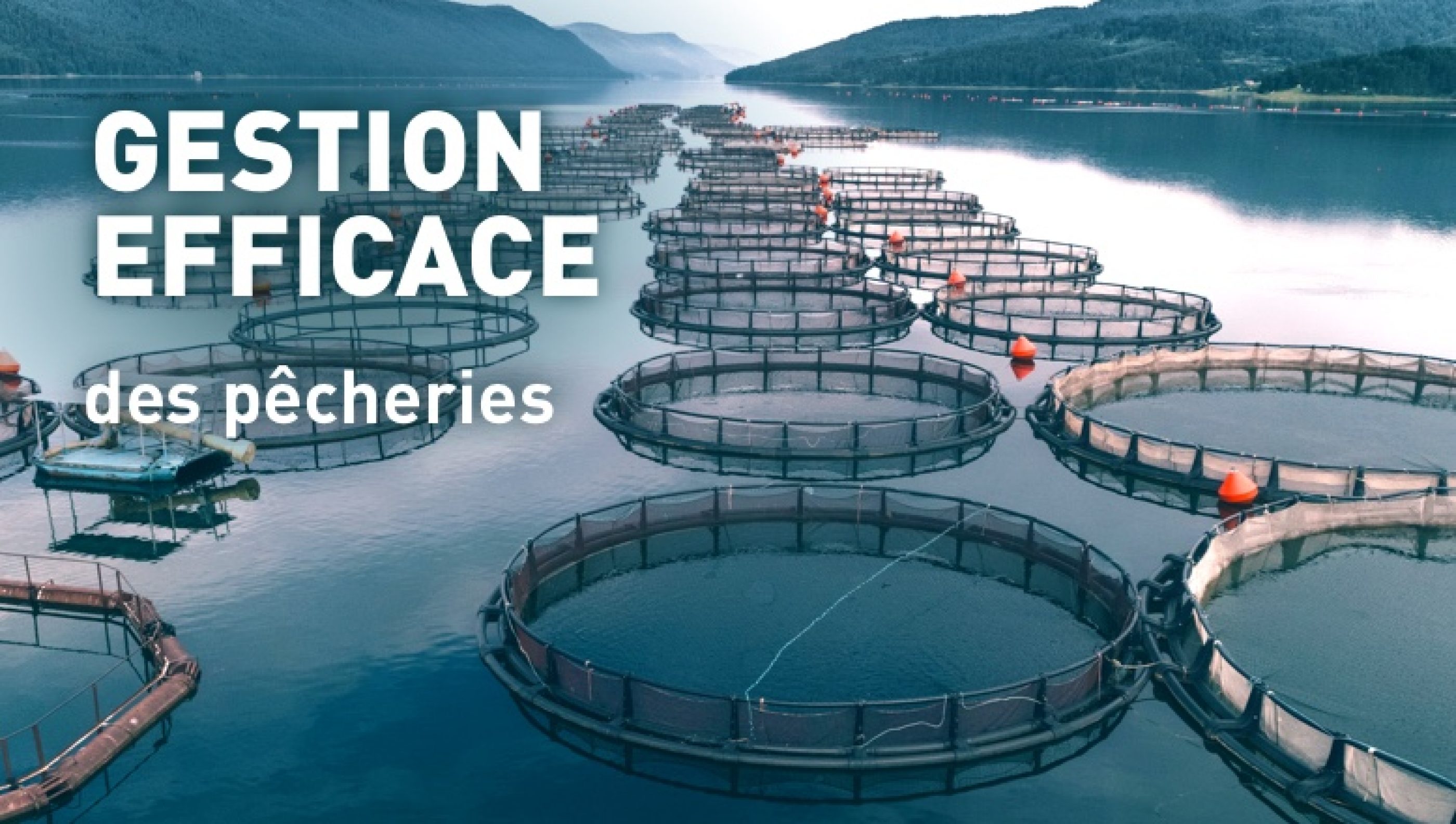 La peche durable et responsable, ALDI s'engage