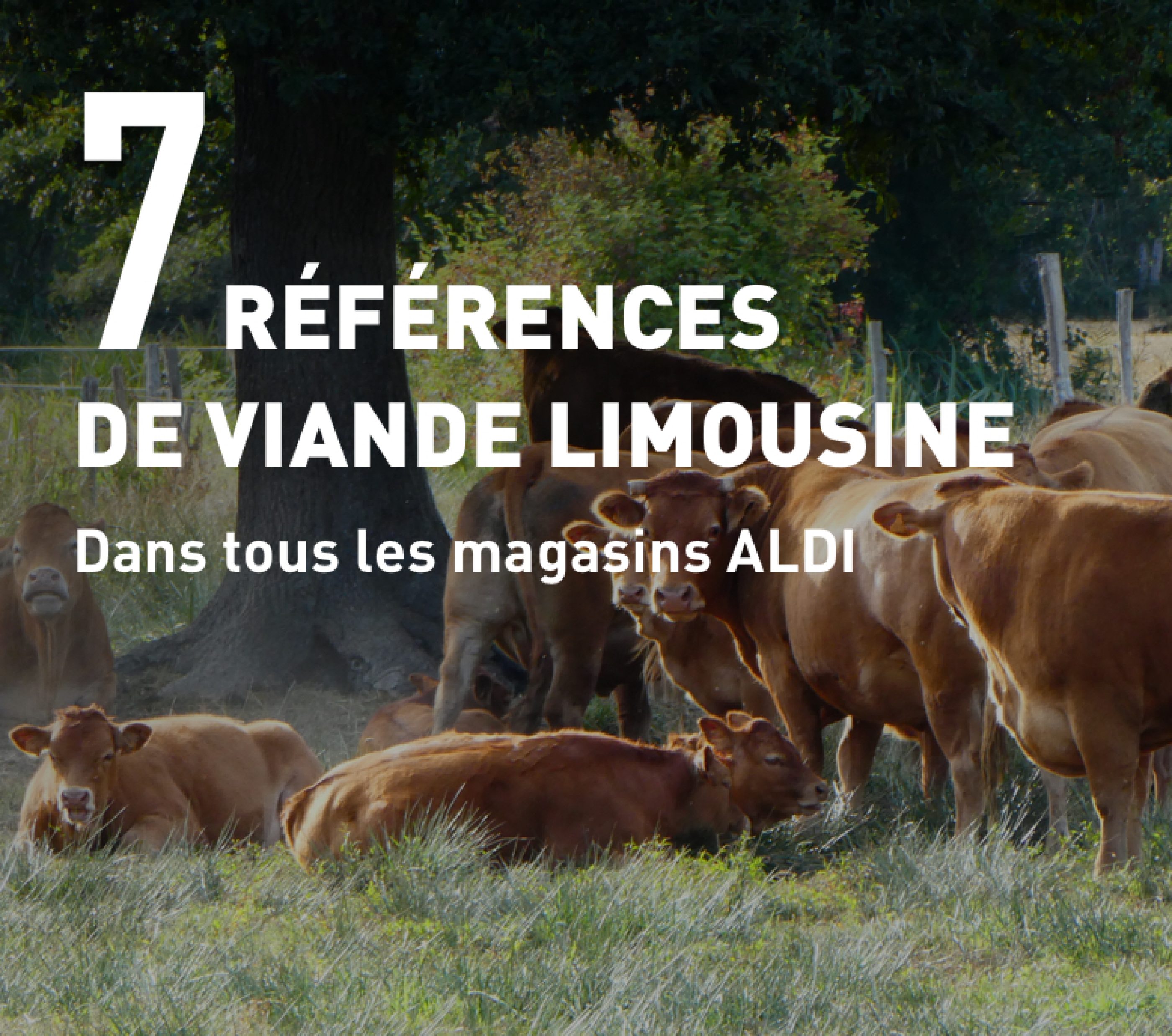 Place à la viande responsable d'origine France